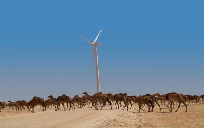 Elecnor, Siemens Gamesa to build 100-MW wind park in Mauritania