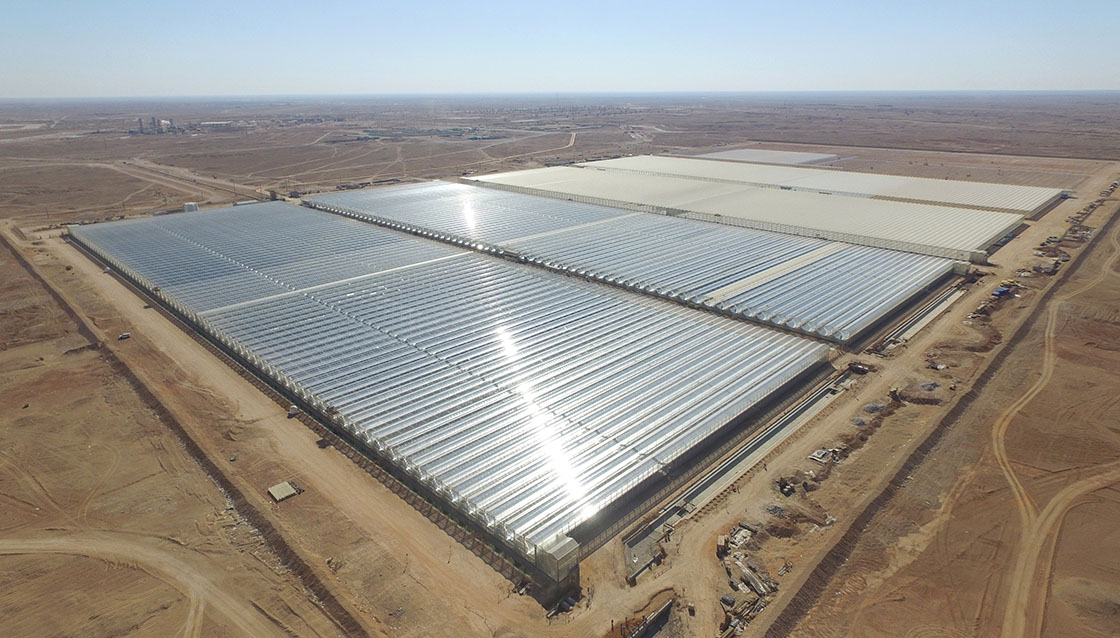 Oman's 1-GW Manah solar parks to go online by Q4 2024 - report