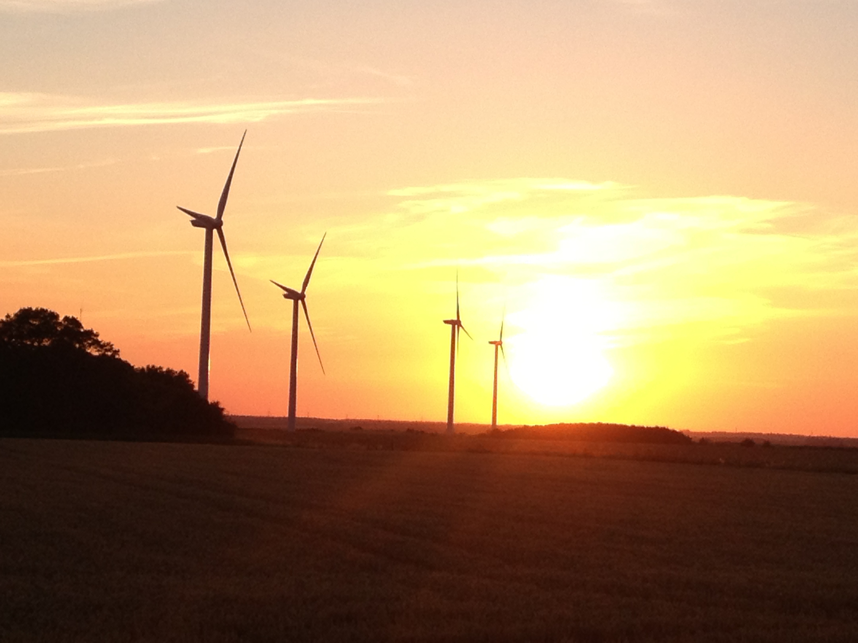 BayWa's renewables business reports glowing H1 2021 figures