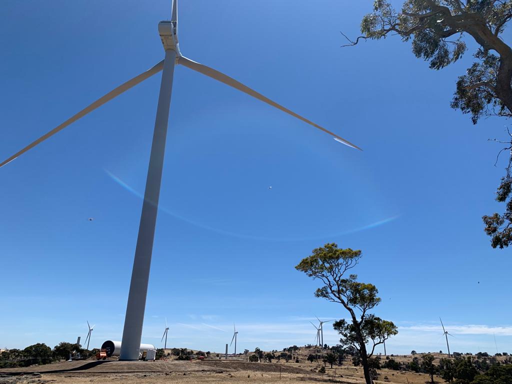 John Laing's 58-MW wind farm in Victoria sends 1st power to NEM