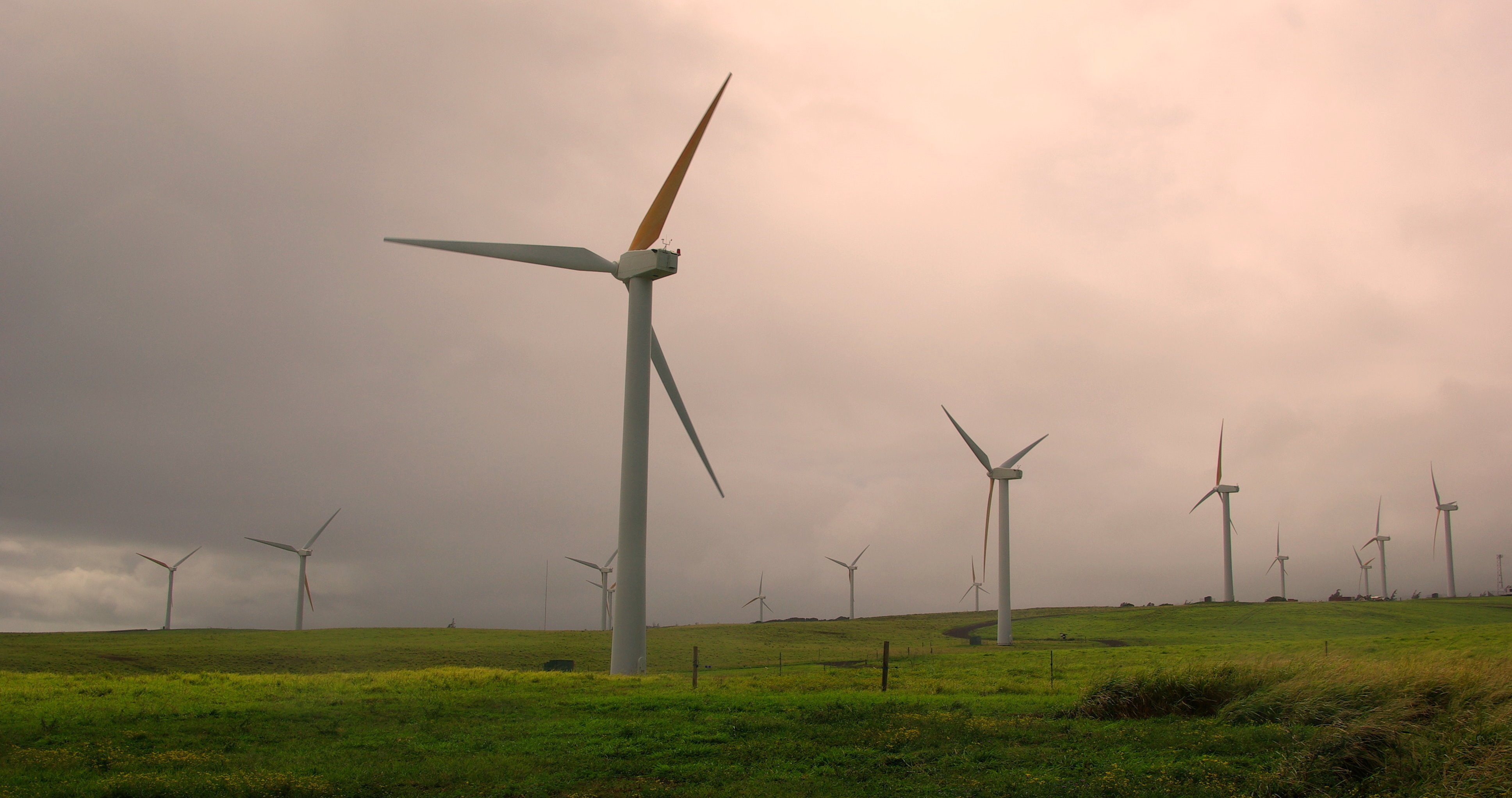 Hawaiian Electric to seek renewables proposals for Hawaii Island