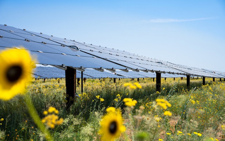 Longroad selling 83-MW Virginia solar project to Dominion