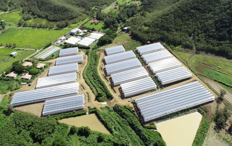 Akuo inaugurates solar agrivoltaic plant at New Caledonia farm
