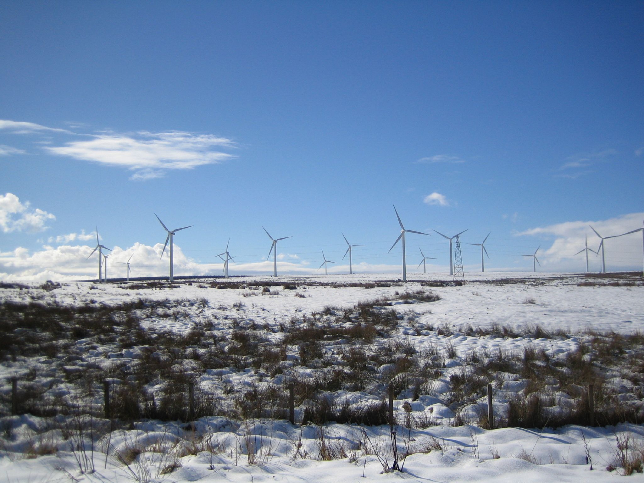 Scottish trust joins legal battle against 200-MW SSE wind project
