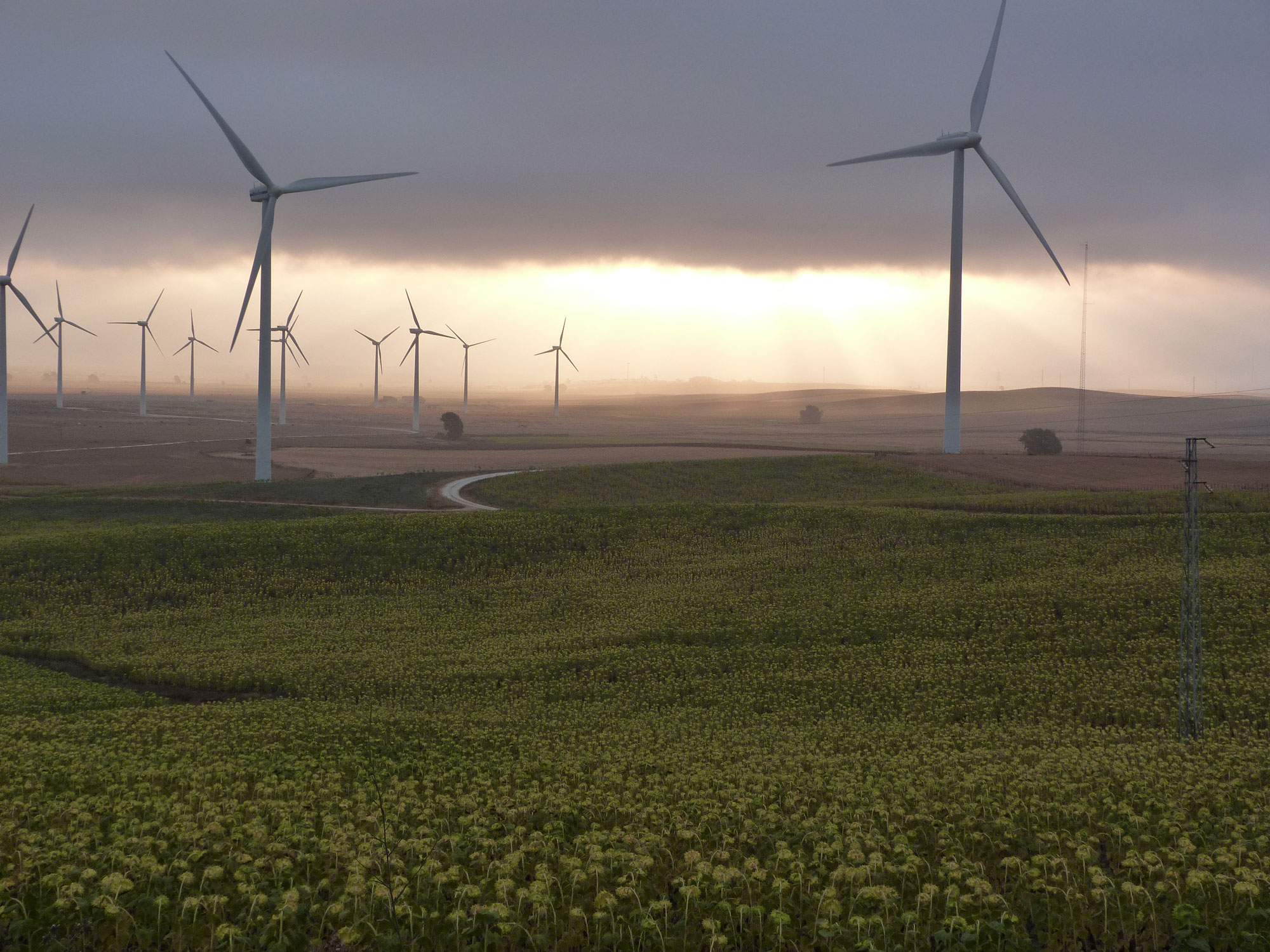 Audax arranges sale of wind farm company in Spain