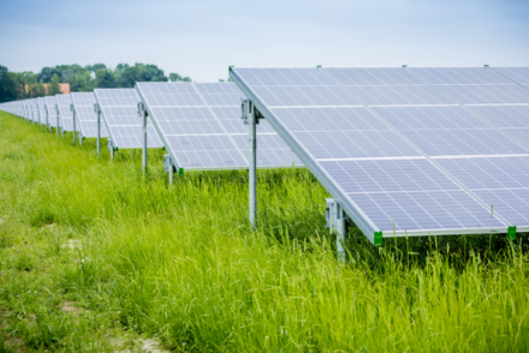 Encavis plugs in 24 MWp of Dutch solar parks