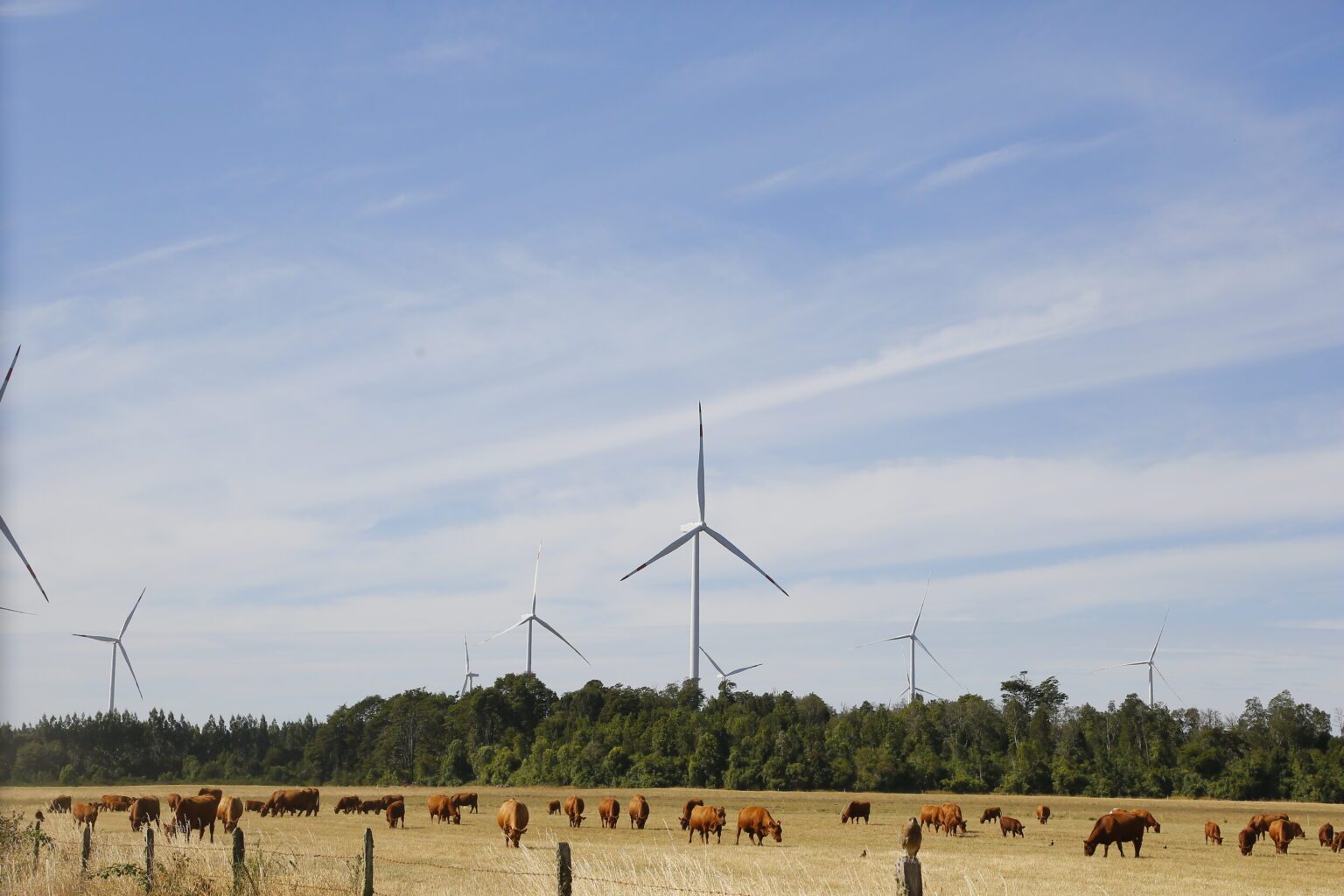 Innergex closes buy of 324-MW French wind portfolio