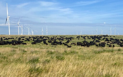 Allete brings 303-MW wind farm online in Oklahoma