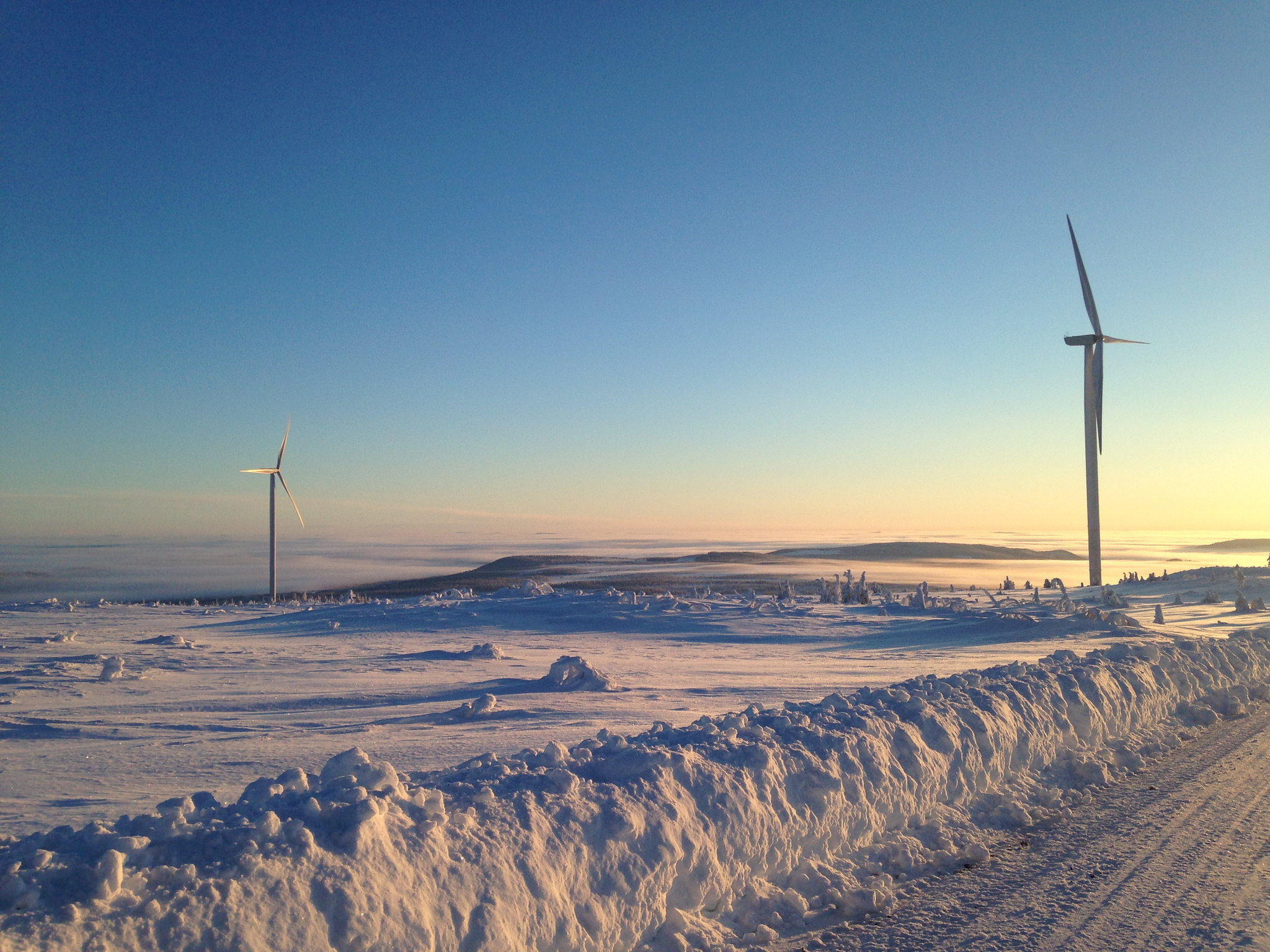 UPDATED - EIP secures debt for fully owned 253-MW Swedish wind farm