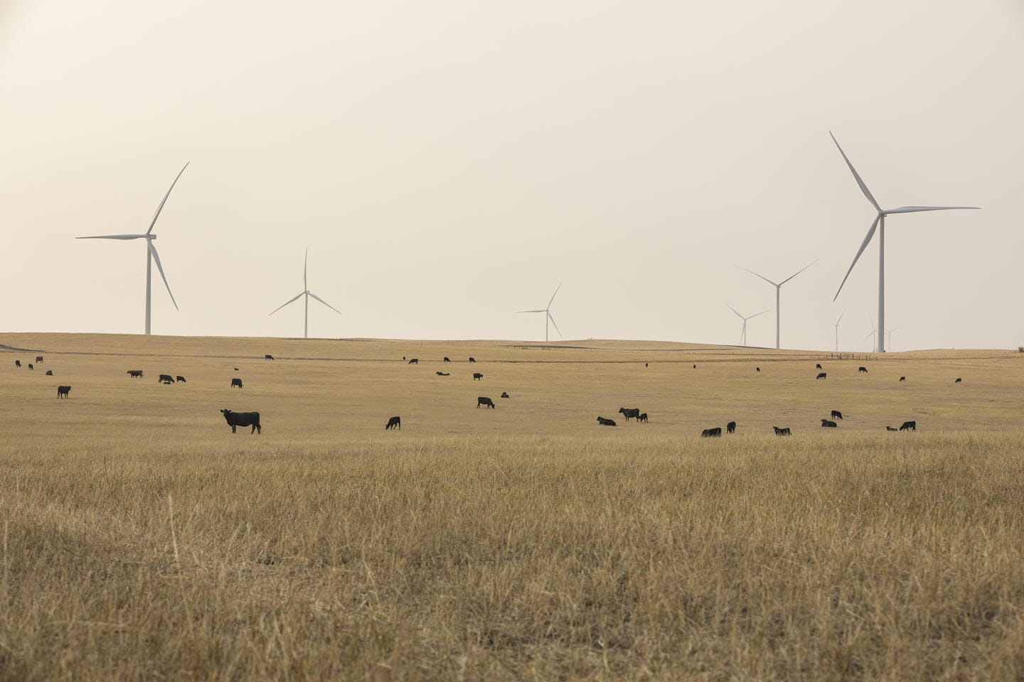 Ørsted lands permit for 250-MW wind farm in N Dakota - report