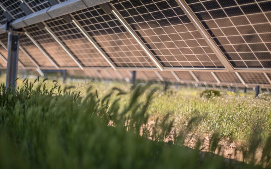 Lightsource bp sets shop in France to pursue 1 GW solar pipeline