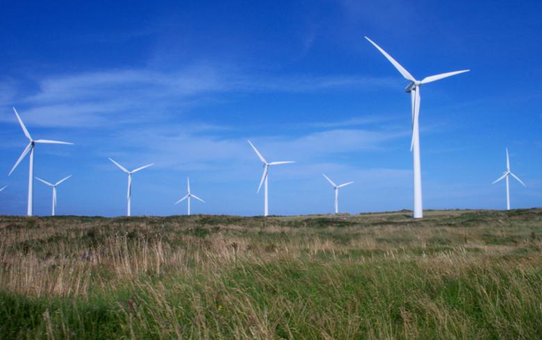 Brookfield starts sale of 137 MW of Irish wind farms - report