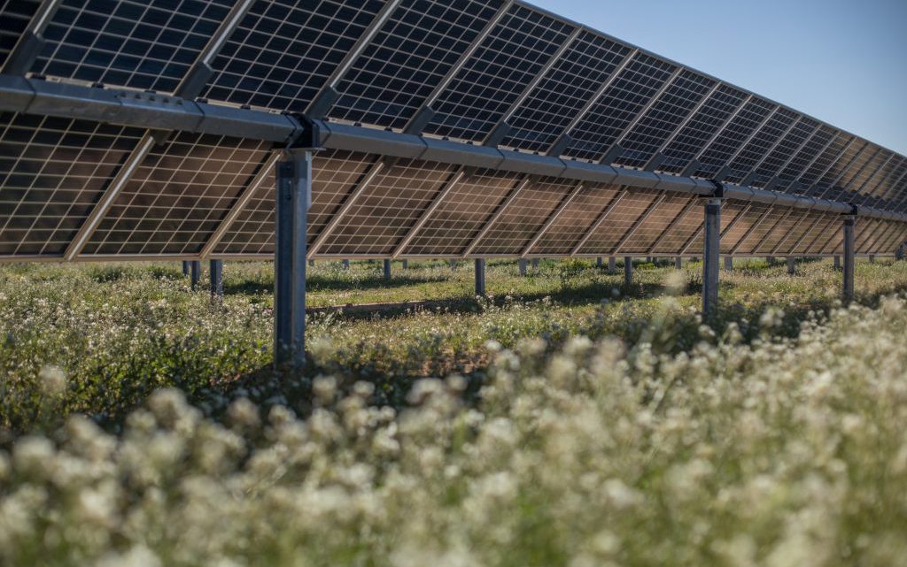 Lightsource bp unveils plan for 400-MWp solar complex in New South Wales