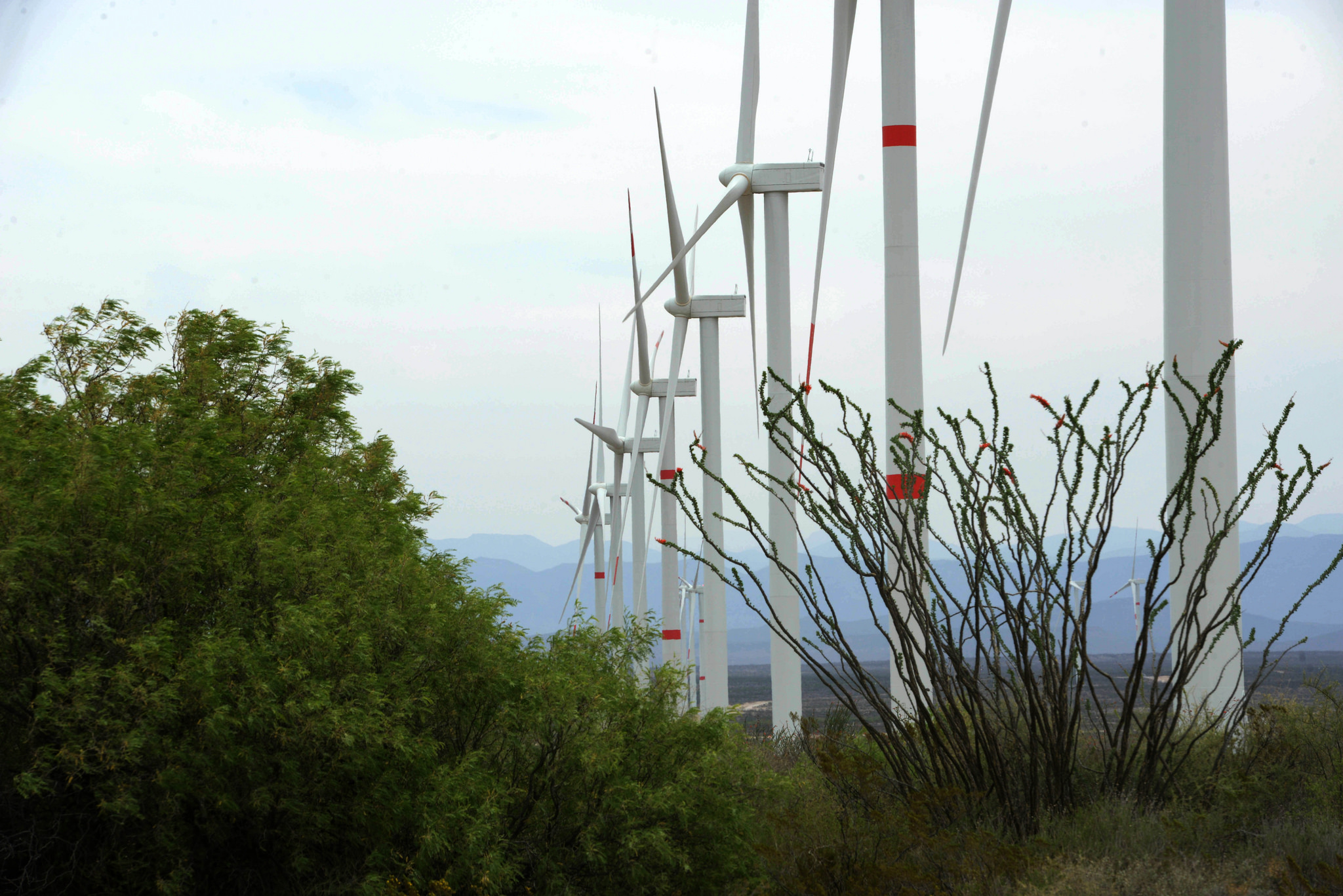 Sempra to supply power from Mexican wind project to California city