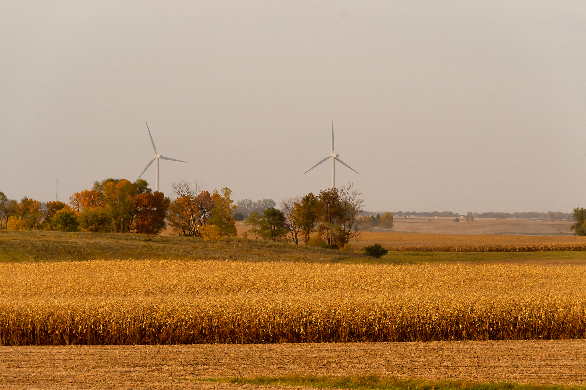 Building Energy inaugurates 30-MW wind park in Iowa